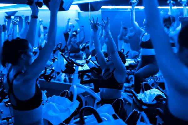 GRITCYCLE - Updated October 2025 - 66 Photos & 416 Reviews - 1731 Santa ...