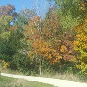MEACHAM GROVE FOREST PRESERVE - 38 Photos & 14 Reviews - Bloomingdale ...