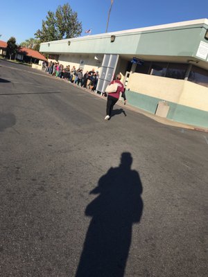 DEPARTMENT OF MOTOR VEHICLES - Updated October 2025 - 19 Photos & 189 ...