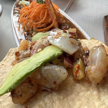 LION FISH - Updated June 2025 - 1083 Photos & 449 Reviews - Erasmo ...