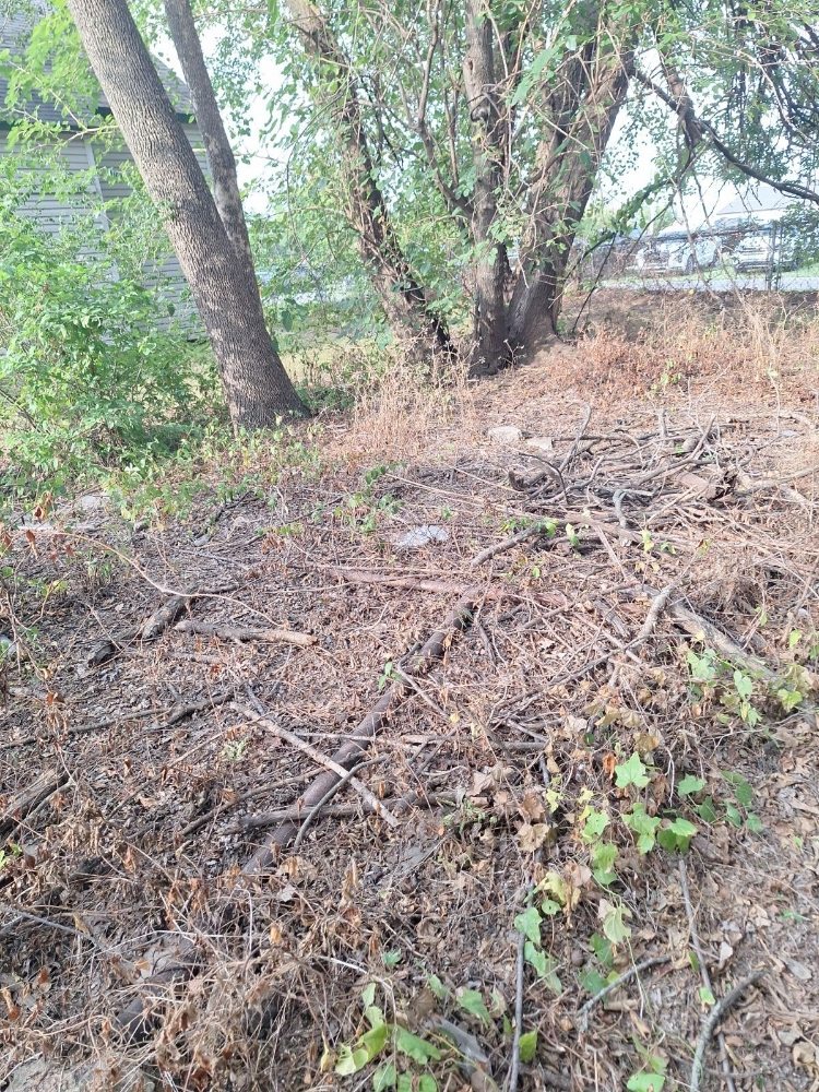 BIG HOSS JUNK REMOVAL - Updated July 2025 - Owasso, Oklahoma - Tree ...