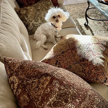 DAVID LEPE UPHOLSTERY - Updated January 2026 - 30 Photos & 13 Reviews ...