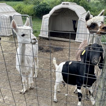 APPLE RIDGE ORCHARDS - Updated December 2025 - 243 Photos & 110 Reviews ...