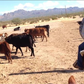 COCORAQUE RANCH AND PAVILLION - Updated October 2025 - 17 Photos - 3199 ...