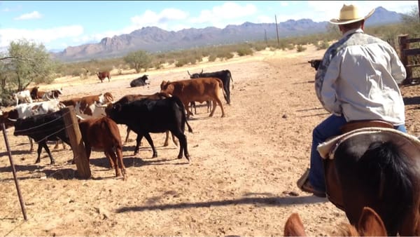 COCORAQUE RANCH AND PAVILLION - 3199 N Reservation Rd, Marana, Arizona ...