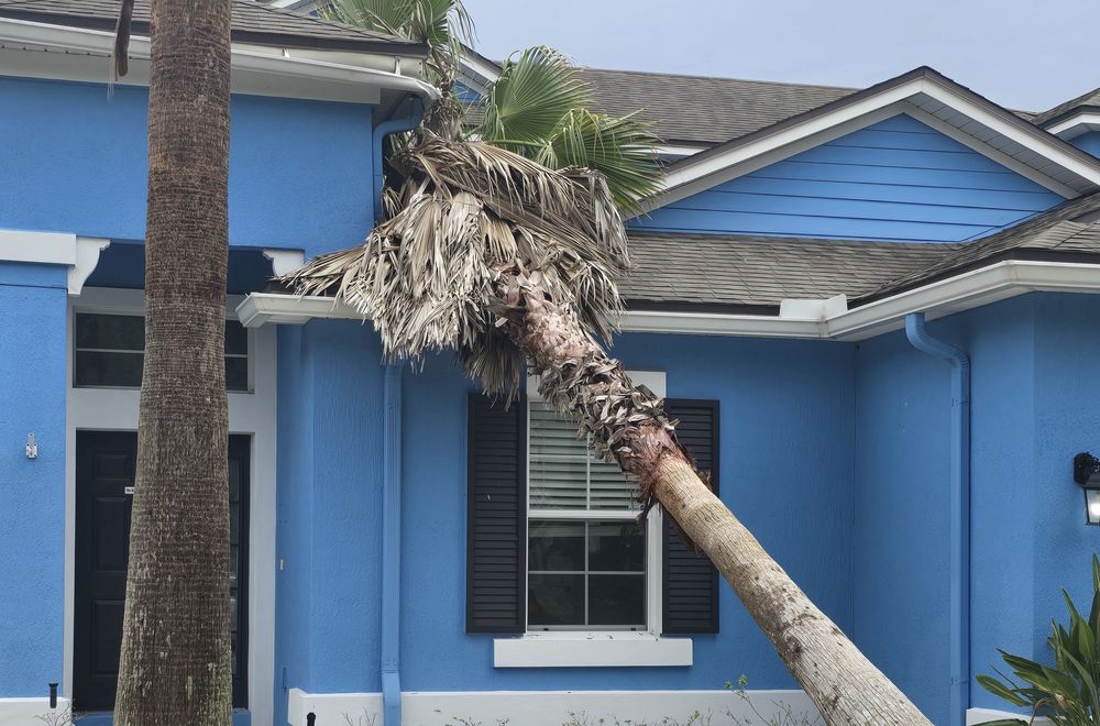 TOP NOTCH TREE EXPERTS - Updated October 2025 - 19 Photos - Middleburg ...