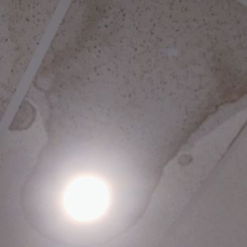 SOLA RENTALS - Updated January 2026 - 81 Photos & 77 Reviews - 8629 S ...