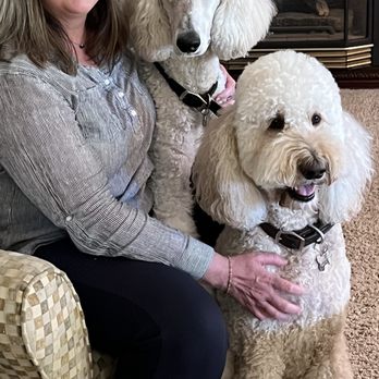 ANIMAL HOUSE GROOMING Updated January 2025 70 Photos 32 Reviews 1438 Princeton Ave Modesto California Pet Groomers Phone Number Yelp