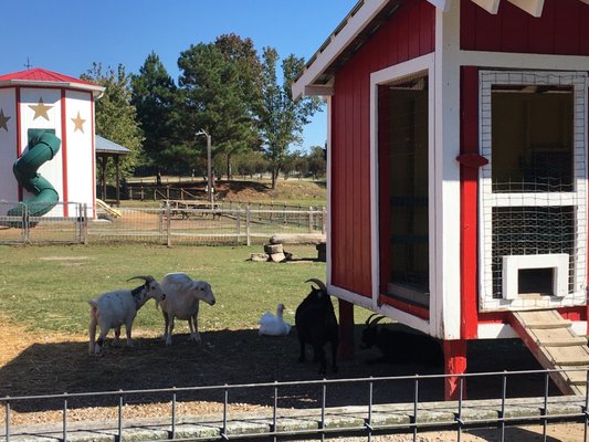 HILL RIDGE FARMS - Updated November 2025 - 172 Photos & 66 Reviews ...