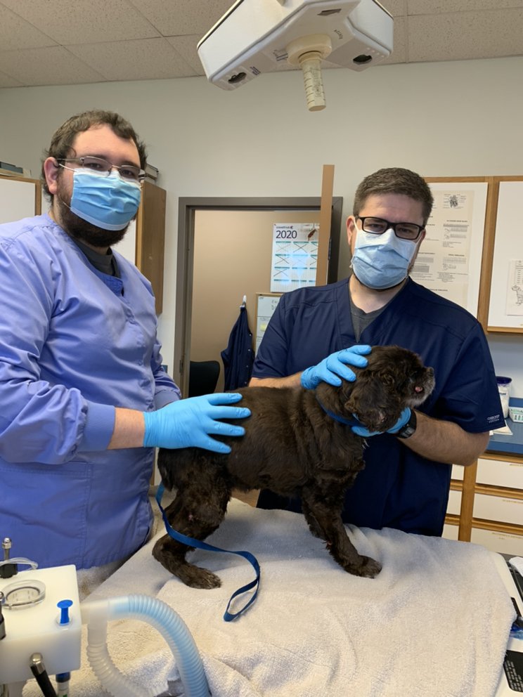 EASTON ANIMAL HOSPITAL - Updated July 2025 - 14 Photos & 18 Reviews ...