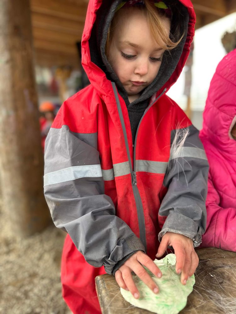 HIDDEN TRAILS FOREST & FARM SCHOOL - Updated May 2024 - 28 Photos ...