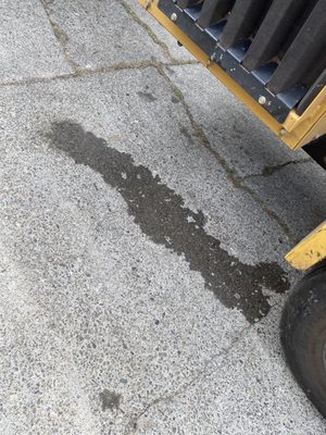 CORE TREE CARE - Updated October 2025 - 13 Photos & 15 Reviews - Corona ...