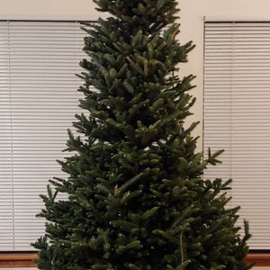 HEMSTROM VALLEY TREE FARM CHRISTMAS TREES - TEMP. CLOSED - Updated ...