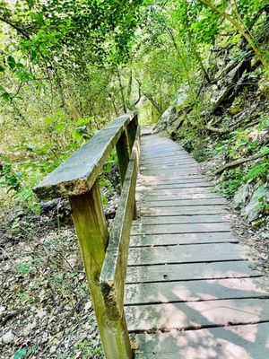 RIVER PLACE NATURE TRAIL - 460 Photos & 218 Reviews - Hiking - 8830 Big ...