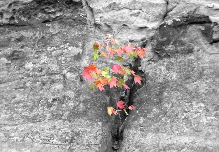 Castle Rock - Trusted Since 2007 - Updated July 2025 - 16 Photos - I-90 ...