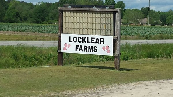 LOCKLEAR FARMS - Updated January 2026 - 9840 Deep Branch Rd, Pembroke ...
