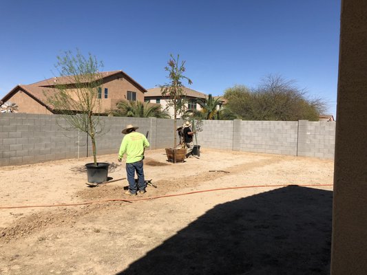 TREELAND NURSERIES - Updated November 2024 - 64 Photos & 70 Reviews ...