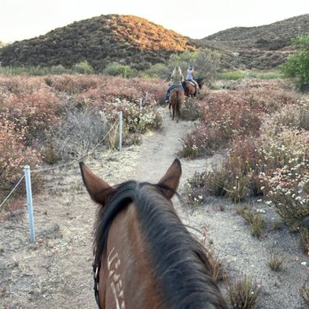 SUSIE Q RANCH - Updated January 2025 - 231 Photos & 190 Reviews - 28330 ...