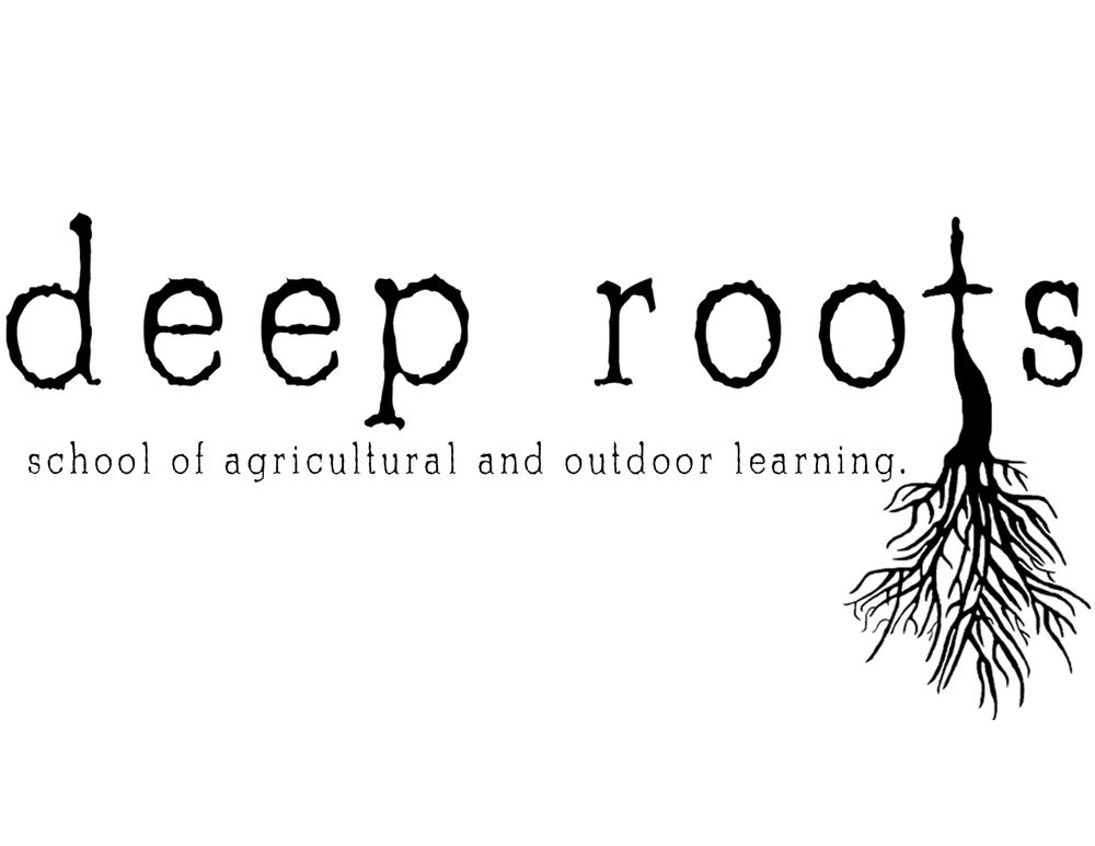 DEEP ROOTS SCHOOL - Updated March 2025 - 529 Antler Bluff Ln, Columbia ...