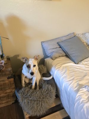 ALL GOOD PALLETS - Updated December 2025 - 34 Photos & 15 Reviews ...