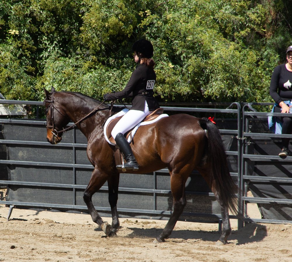 HIGH VALLEY HORSES - Updated May 2026 - 16629 Johnson Ave, Chino ...