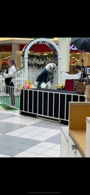 SQUARE ONE MALL - Updated August 2025 - 57 Photos & 114 Reviews - 1201 ...