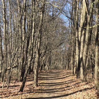 FORMAR NATURE PRESERVE & ARBORETUM - Updated July 2025 - 25 Photos & 13 ...