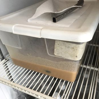 Azama K Fish Wholesale - Trusted Since 2012 - Updated July 2025 - 58 ...