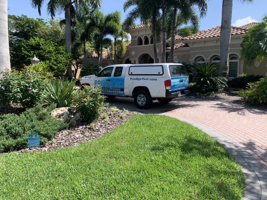 PRODIGY PEST SOLUTIONS - Updated December 2025 - 19 Photos & 44 Reviews ...