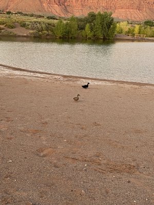 FIRE LAKE PARK AT IVINS RESERVOIR - Updated December 2025 - 10 Photos ...