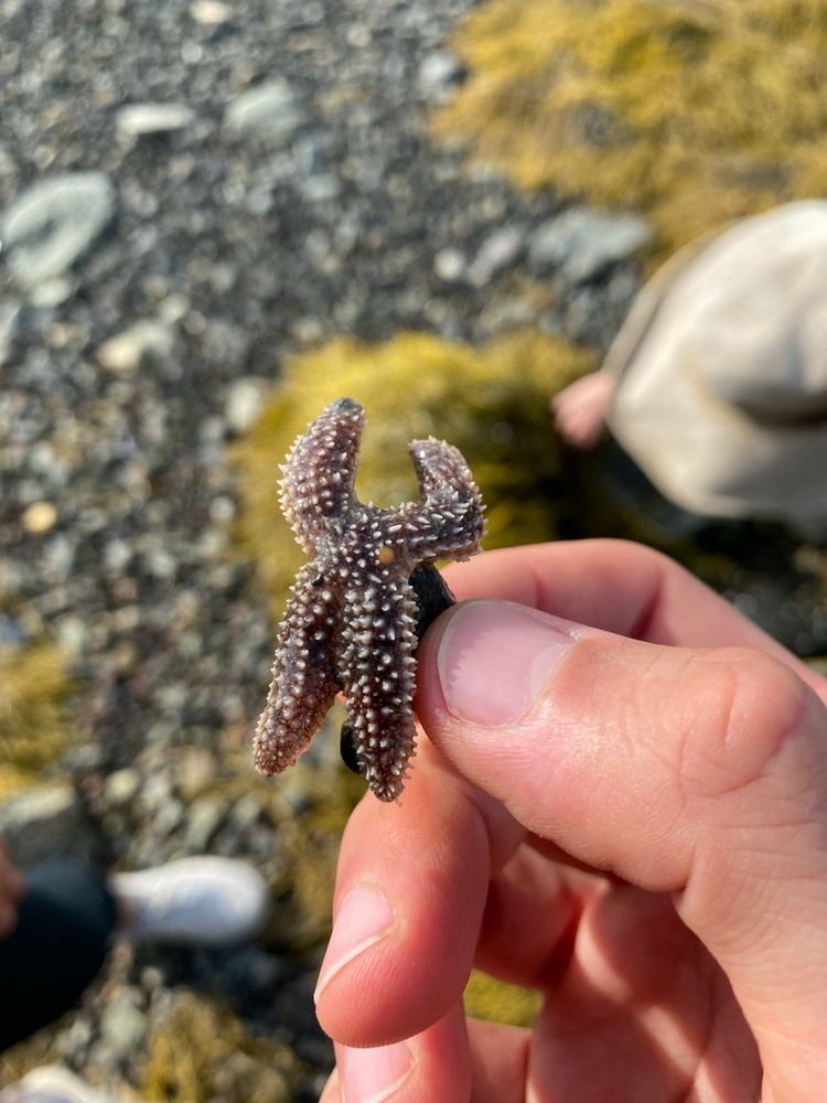 FLORA FUNGA FARMS - Updated July 2025 - 25 Photos - Mount Desert, Maine ...