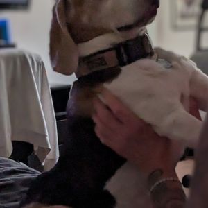 LOMA LINDA ANIMAL HOSPITAL - Updated October 2025 - 256 Photos & 892 ...