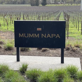 MUMM NAPA WINERY - Updated July 2024 - 2287 Photos & 1524 Reviews ...