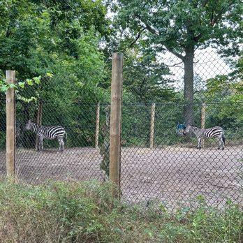 ERIE ZOO - Updated June 2026 - 186 Photos & 69 Reviews - 423 W 38th St ...