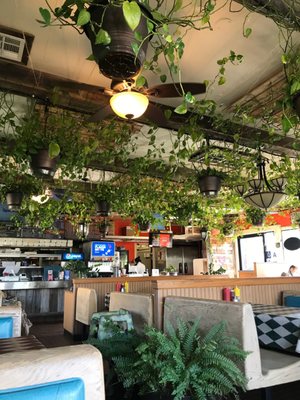 GREEK STYLE CHICKEN - 75 Photos & 211 Reviews - 904 S Main St ...