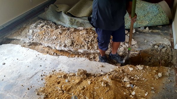 TRAGAR HOME SERVICES - Updated December 2025 - 22 Photos & 58 Reviews ...