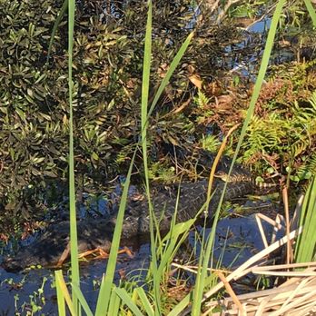 SWAMP DONKEY AIRBOAT RIDES - Updated May 2026 - 76 Photos & 29 Reviews ...