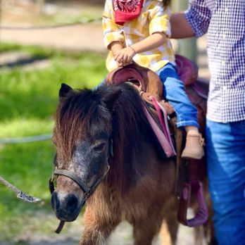 OLD MCMICKY’S FARM - Updated December 2025 - 97 Photos & 45 Reviews ...