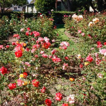 WRIGLEY GARDENS - Updated August 2024 - 88 Photos & 13 Reviews - 391 S ...