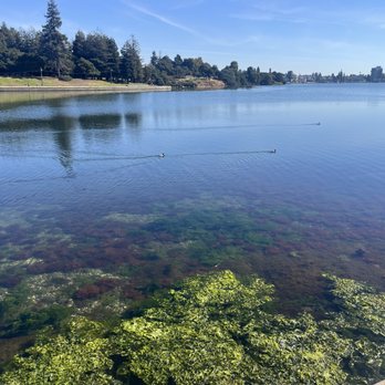 LAKE MERRITT - Updated January 2026 - 2560 Photos & 655 Reviews - 568 ...