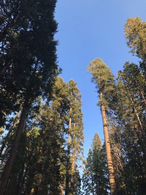 LAKE SPAULDING CAMPGROUND - Updated August 2025 - 31 Photos - 10248 ...