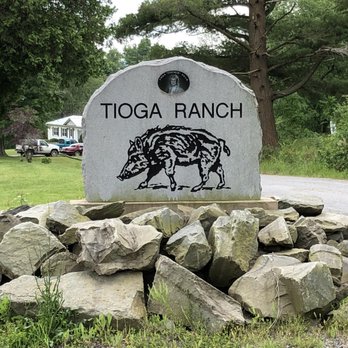 TIOGA BOAR HUNTING - Updated January 2026 - 38 Photos - 1552 Mann Hill ...