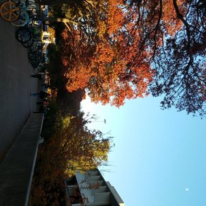 DALLAS PUBLIC LIBRARY - AUDELIA ROAD BRANCH - Updated November 2025 ...