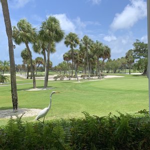 LONGBOAT KEY CLUB - 14 Reviews - Country Clubs - 220 Sands Point Rd ...