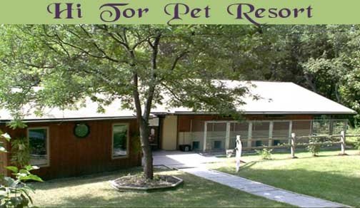 HI TOR PET RESORT - Updated December 2025 - 560 Basset Rd, Naples, New ...