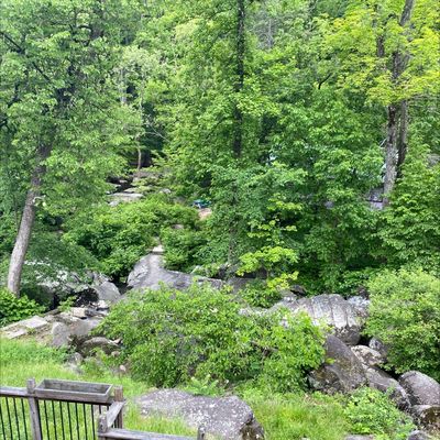 SAINT PETER’S BAKERY - Updated January 2026 - 84 Photos & 88 Reviews ...