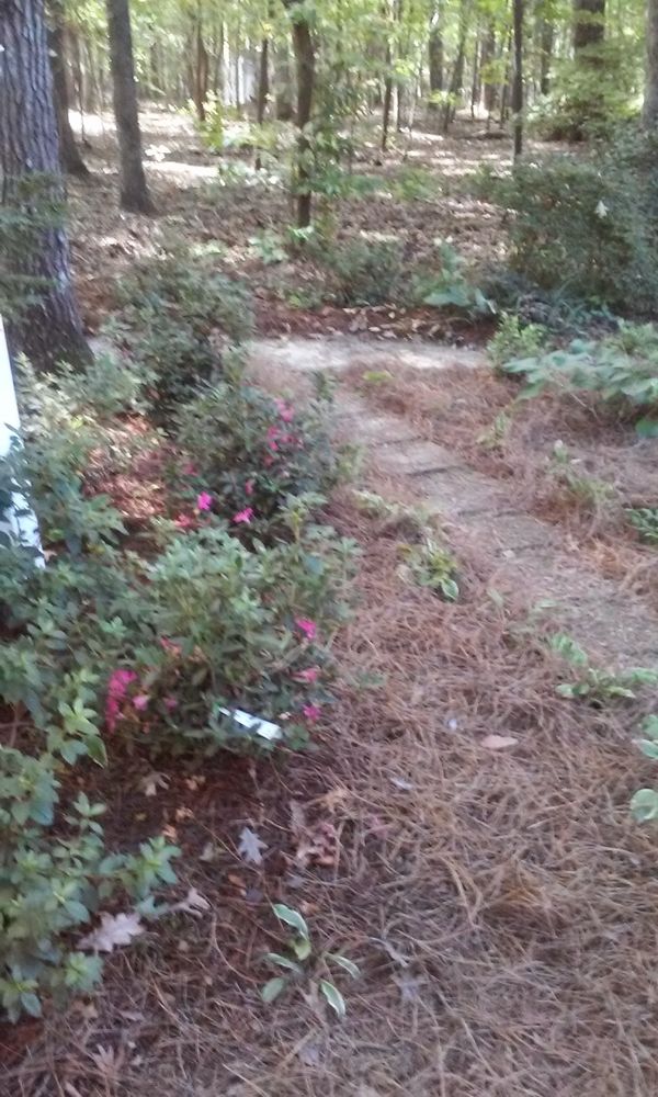 RHODESCAPES - Updated November 2024 - 13 Photos - Pendleton, North ...