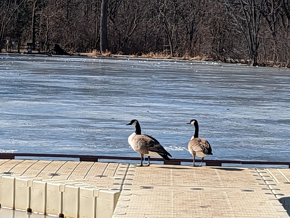 SPRING VALLEY NATURE CENTER & HERITAGE FARM - Updated December 2025 ...