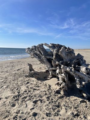 NAPATREE POINT / BEACH - Updated October 2025 - 36 Photos & 14 Reviews ...