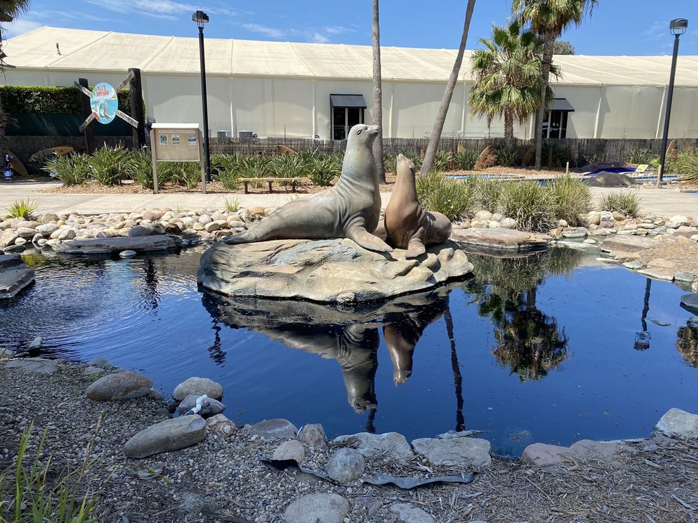 PELLY’S MINI GOLF - 203 Photos & 206 Reviews - 15555 Jimmy Durante Blvd ...